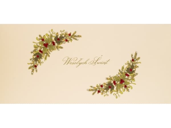 DL B28 Christmas Card - Merry Christmas Stroke | CDON