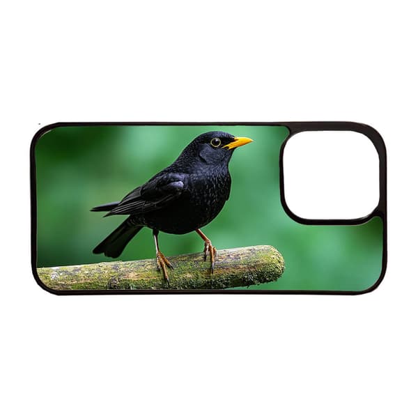 Fugl Svarttroste iPhone 14 Skall / Deksel | CDON