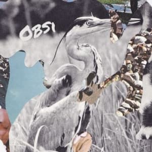 Obsi - Obsi (CD) | CDON
