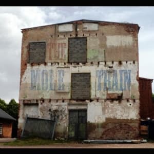 Mole Train - The Mole Train (CD) | CDON