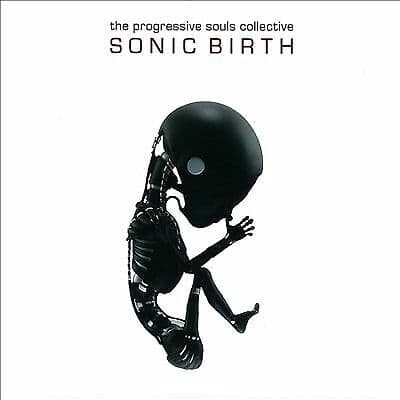 The Progressive Souls Collective : Sonic Birth CD (2020) | CDON