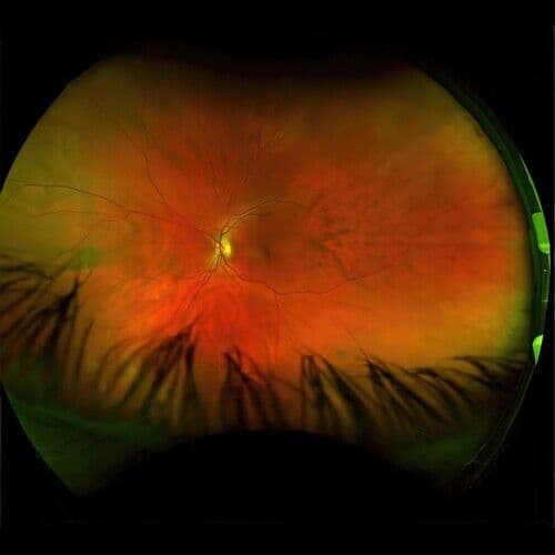 Greg Puciato : Mirrorcell CD (2022) | CDON