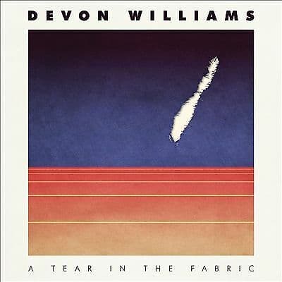 Devon Williams : A Tear in the Fabric CD (2020) | CDON