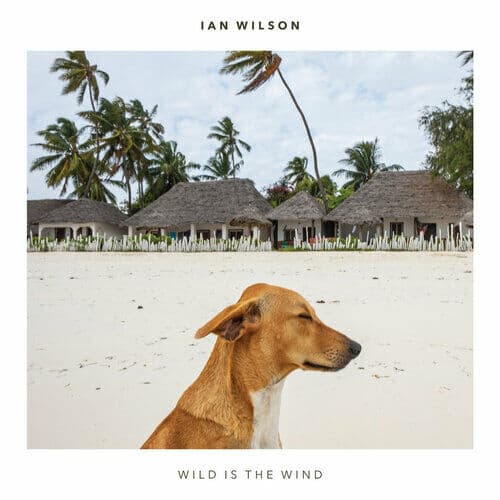 Ian Wilson : Wild Is the Wind CD (2020) | CDON