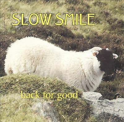 Slow Smile : Back for Good / Wake Up / Meteor Shower CD Pre-Owned | CDON