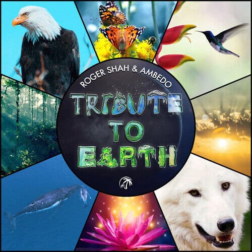Roger Shah & Ambedo : Tribute to Earth CD 2 discs (2023) | CDON