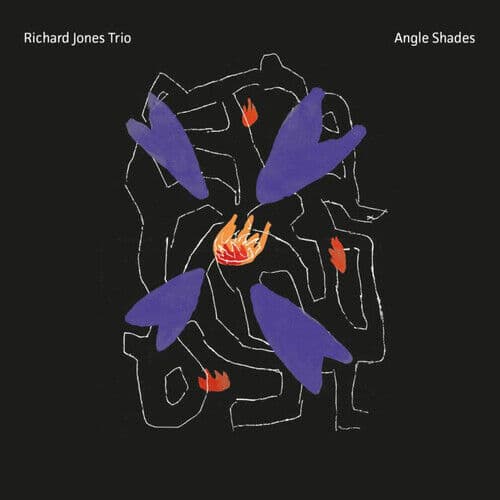 Richard Jones Trio : Angle shades CD (2023) | CDON