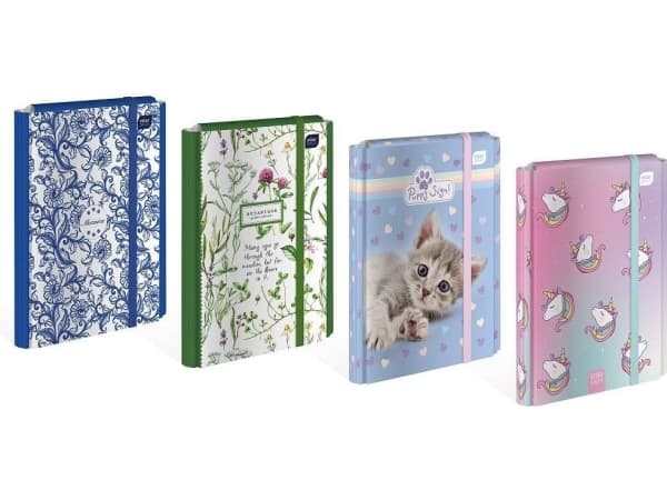 Interdruk Mapp med suddgummi A4 hård Girls | CDON