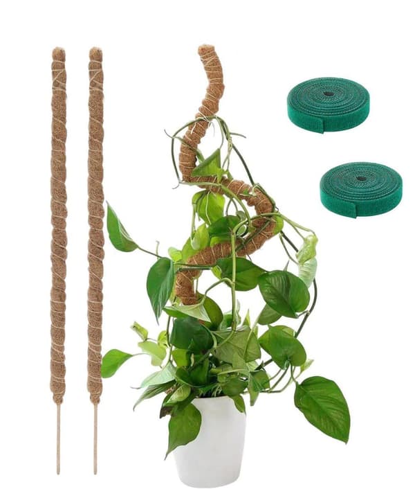 Lollanda Plantestøtte / Støttepæl, Bøjelig Mosstang 70-100cm ...