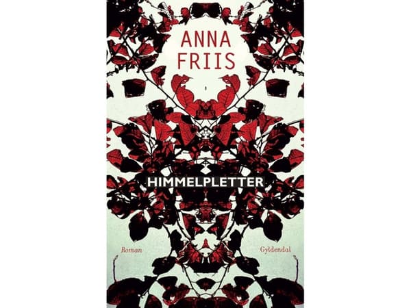 Sky spots | Anna Friis | Språk: Danska | CDON