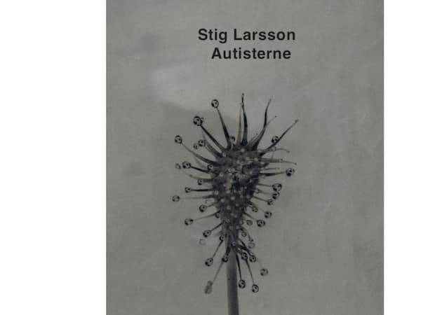 Autisterne | Stig Larsson | Språk: Dansk | CDON