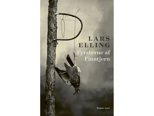 Prinsarna i Finntjern | Lars Elling | Språk: Danska | CDON