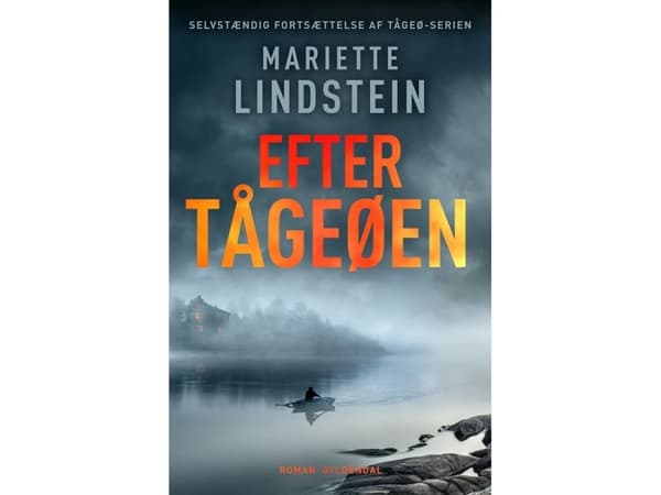 Efter Fog Island | Mariette Lindstein | Språk: Danska | CDON