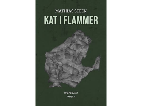 Kat i flammer | Mathias Steen | Språk: Dansk | CDON
