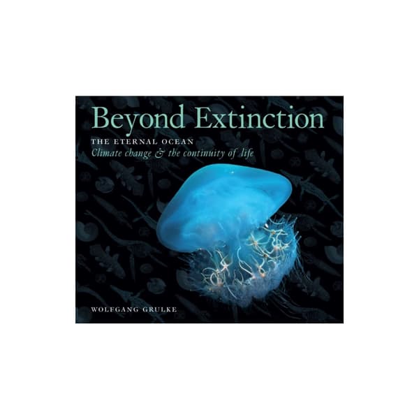 Beyond Extinction: The Eternal Ocean. Climate Change & the Continuity ...