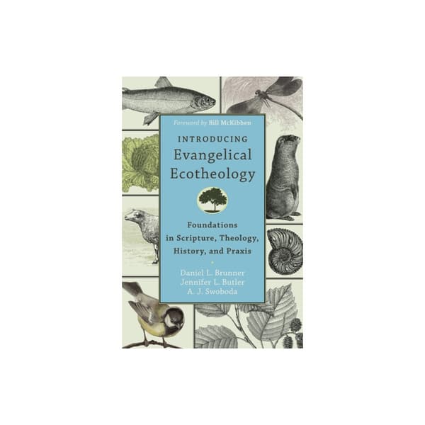 Introducing Evangelical Ecotheology – Foundations in Scripture ...