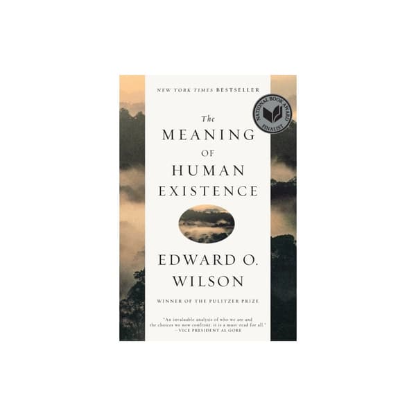 The Meaning of Human Existence (häftad, eng) | CDON