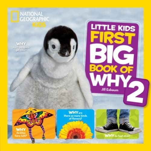 Little Kids First Big Book of Why 2 (häftad, eng) | CDON