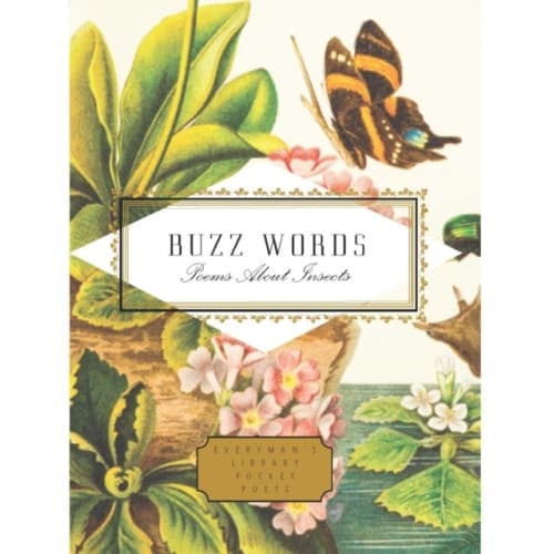 Buzz Words (inbunden, eng) | CDON