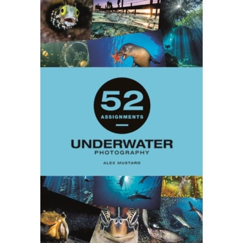 52 Assignments: Underwater Photography (inbunden, eng) | CDON