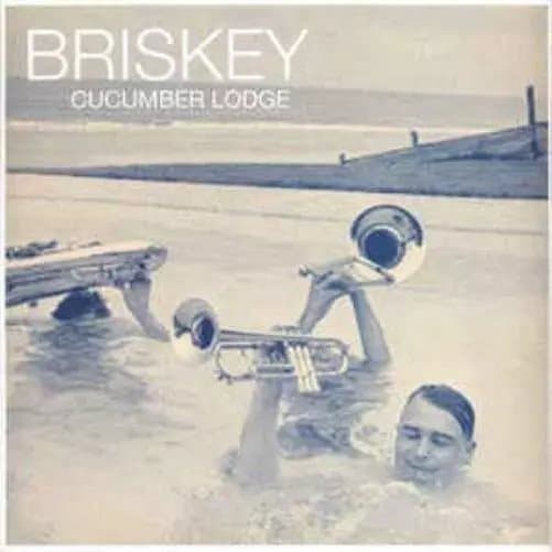 Briskey Cucumber Lodge Dlp (Vinyl) New | CDON