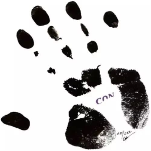 Conrad Schnitzler Con 84 (Vinyl) 12″ Album New | CDON