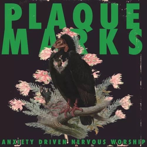 PLAQUE MARKS Anxiety Driven Nervous Worship (Vinyl) New | CDON