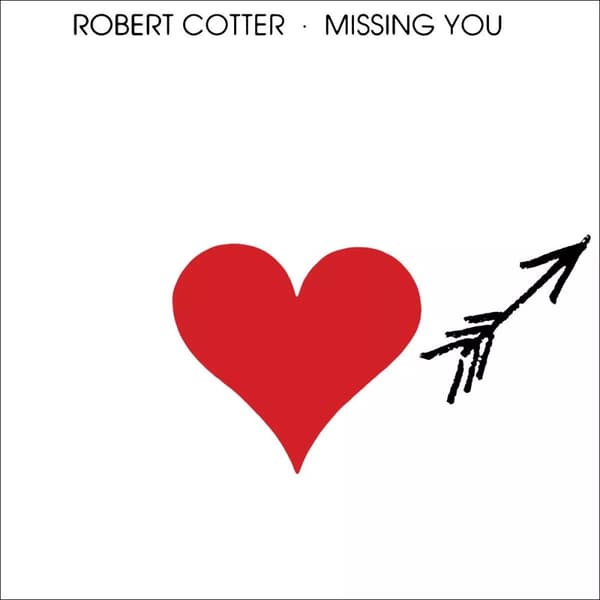 Robert Cotter Missing You (Vinyl) 12″ Album New | CDON