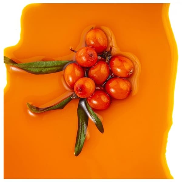 Reglerande schampo med havtorn Normalt till fett hår - Natura Siberica ...