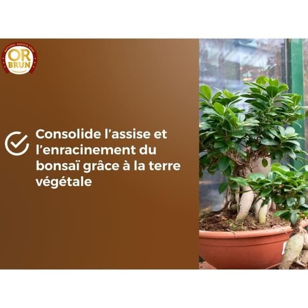Bonsaijord - BROWN GOLD - OBRTBON6U - 6L - Bättre rotning | CDON