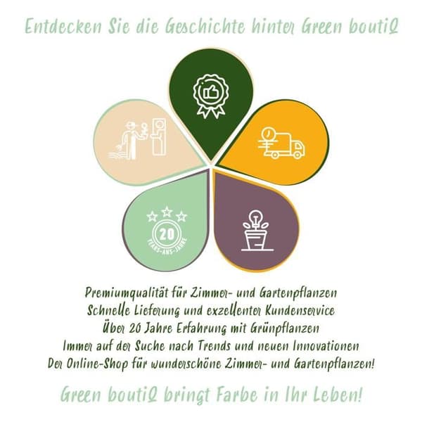 Exotiska blomlökar - Krokus Krokus blandning av stora blommor i olika ...