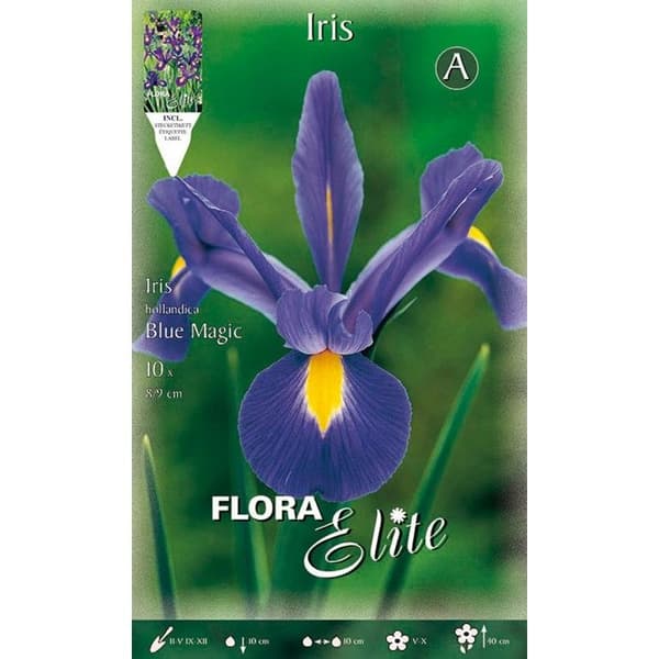 HÖSTBULBENE IRIS HOLLANDICA BLUE MAGIC FÖRPACKNING MED 10 BULLAR | CDON