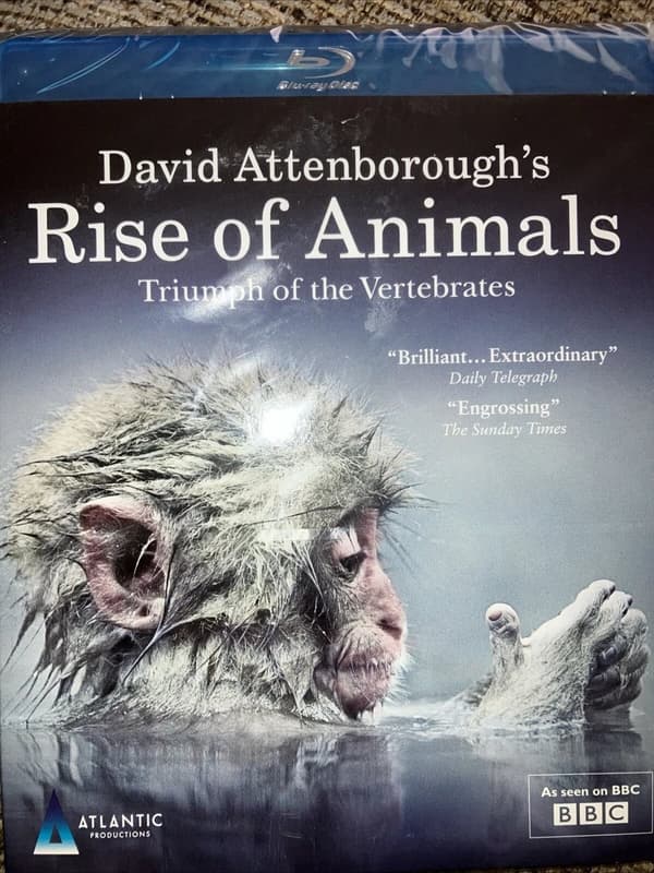 Rise Of The Animals Triumph of the Vertebrates Bluray Brand New | CDON