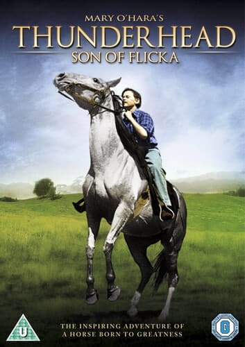 Thunderhead - Son of Flicka Roddy McDowall, King DVD (2012) Brand New ...