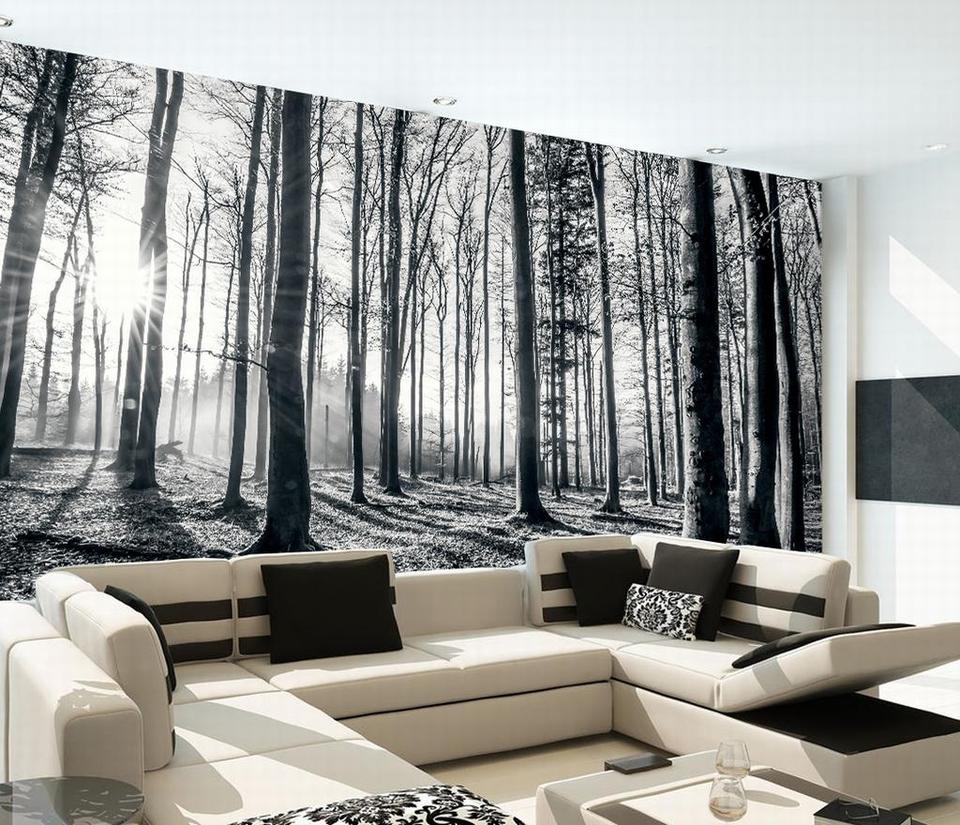1Wall - Fototapet Björkglänta (svartvitt foto), Fondtapet - Hem ...